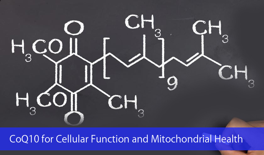 CoQ10 for Cellular Function and Mitochondrial Health