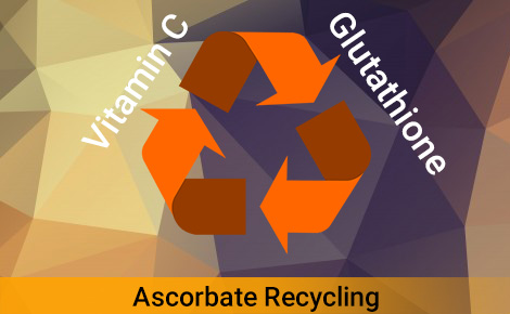 The best Liposomal Vitamin C supplements contain Glutathione.